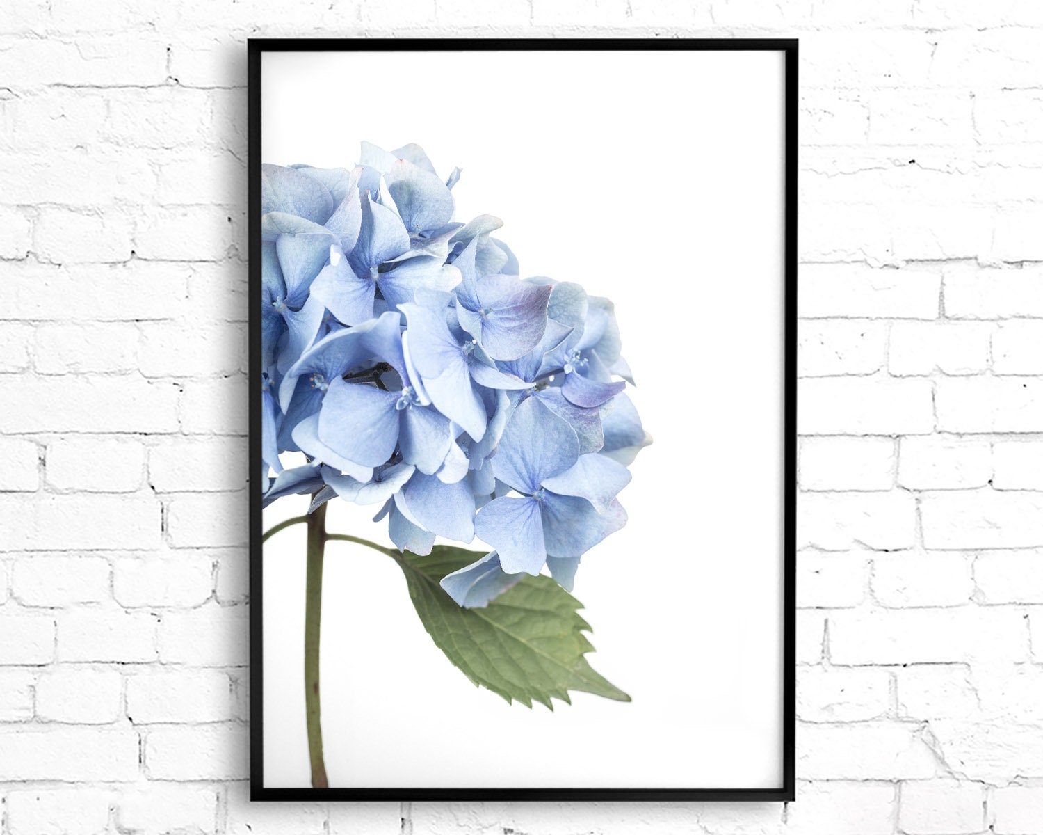 Blue Hydrangea Print, Printable Wall Decor Blue Flower Wall Art, Blue ...