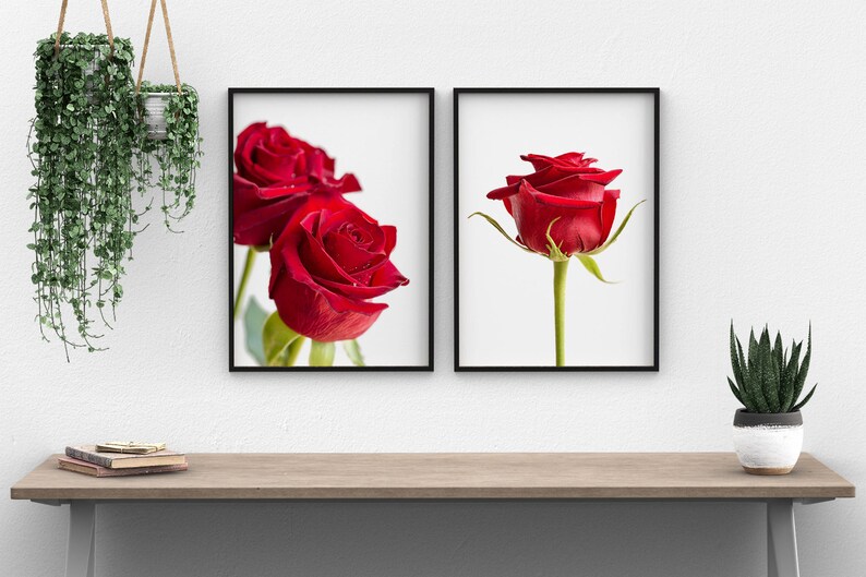 Red Rose Wall Art Printable Set of 2 Photographs, 2 Piece Wall Art ...