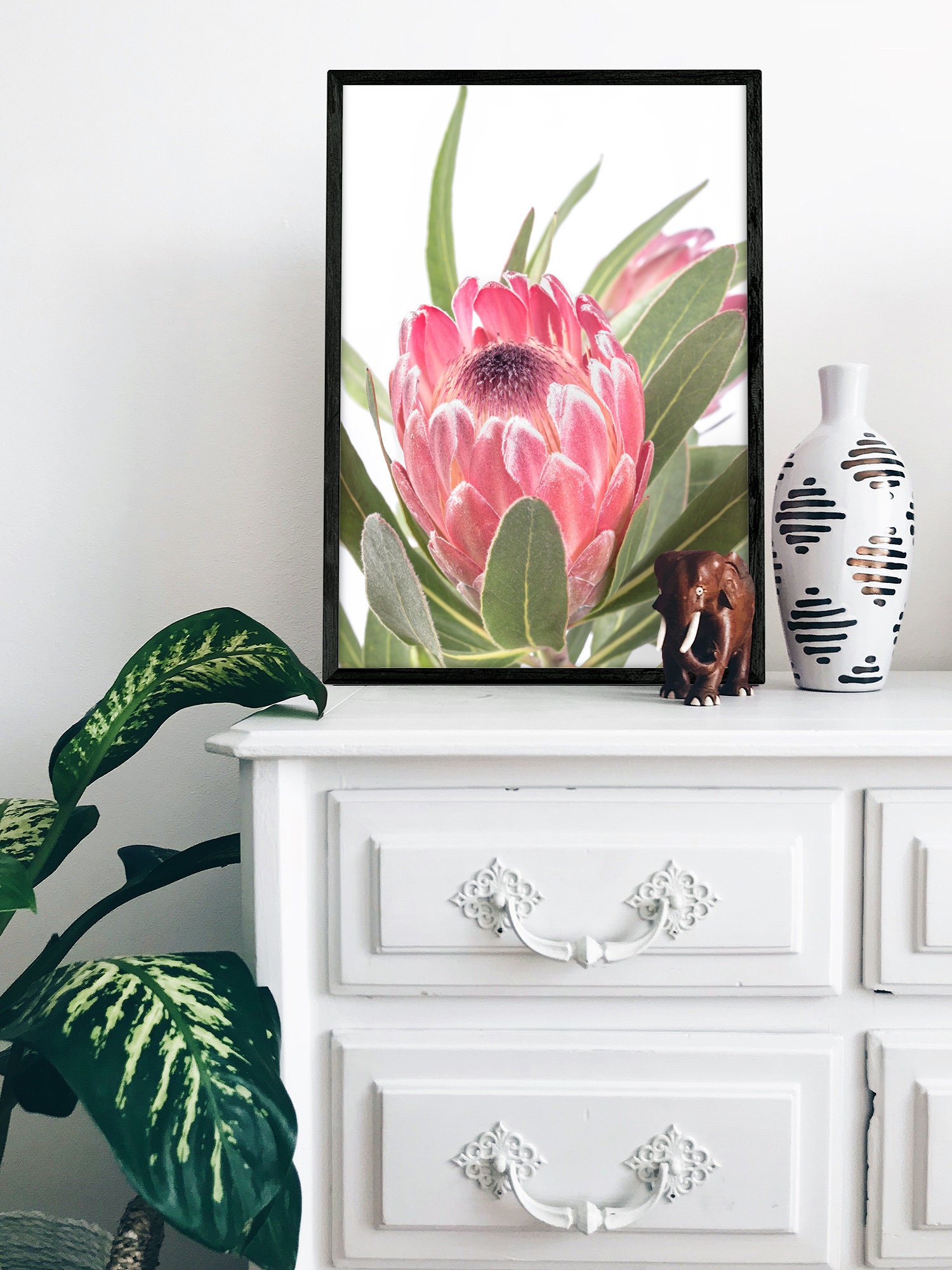 Protea Print Flower Wall Art Printable Poster Digital - Etsy