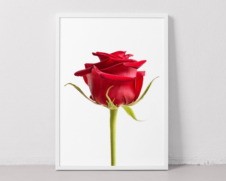 Red Rose Wall Art Printable Set of 2 Photographs 2 Piece Wall - Etsy
