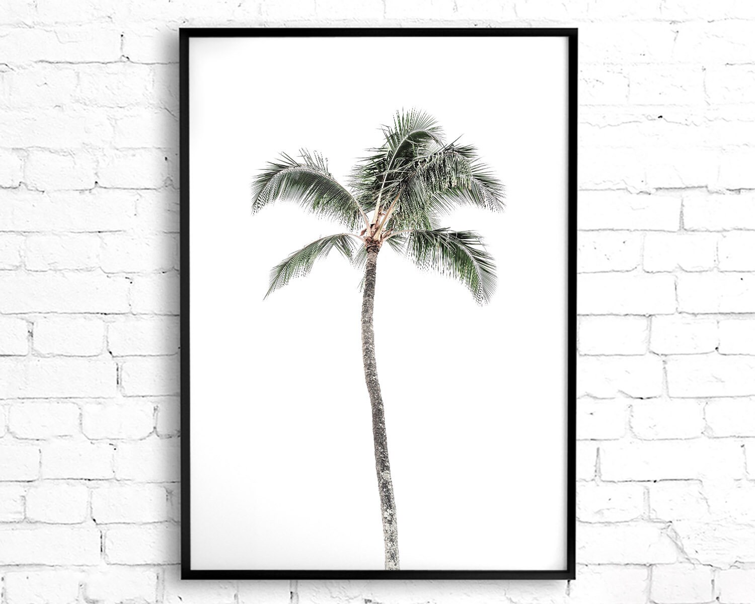 Boho Palm Tree Printable Wall Art Coastal Room Decor | Etsy