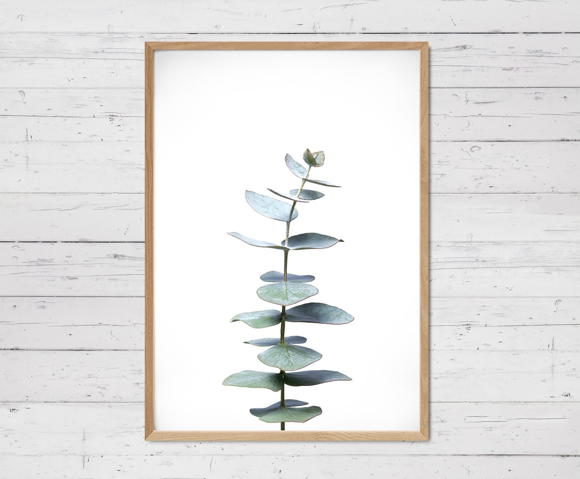 Eucalyptus Print Botanical Wall Art Printable Poster - Etsy
