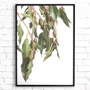 Botanical Printable Wall Art Eucalyptus Print - Australian Native Gum ...