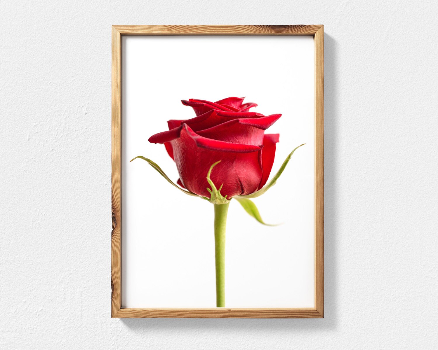 Red Rose Wall Art Printable Set of 2 Photographs 2 Piece Wall | Etsy