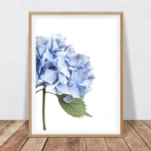 Blue Hydrangea Print, Printable Wall Decor Blue Flower Wall Art, Blue ...