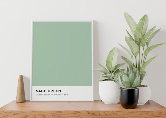 Los Mejores Colores De Pintura Verde Salvia