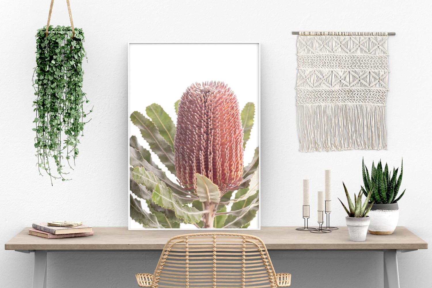 Pink Banksia Print Digital Download Australian Native | Etsy