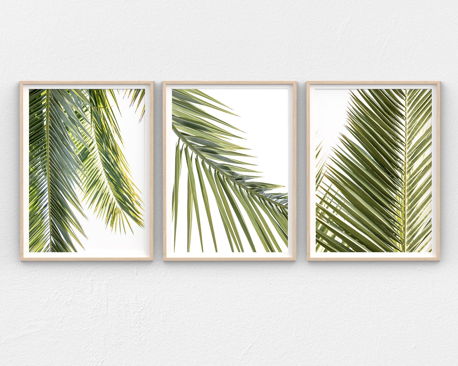 Modern Palm Tree Wall Art Printable 3 Piece Wall Art Set | Etsy