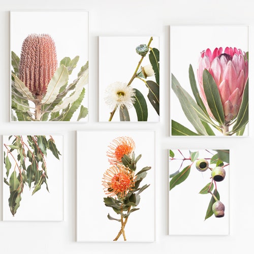 Australian Flowers Art Print Native Aussie Flora Wall Decor - Etsy ...
