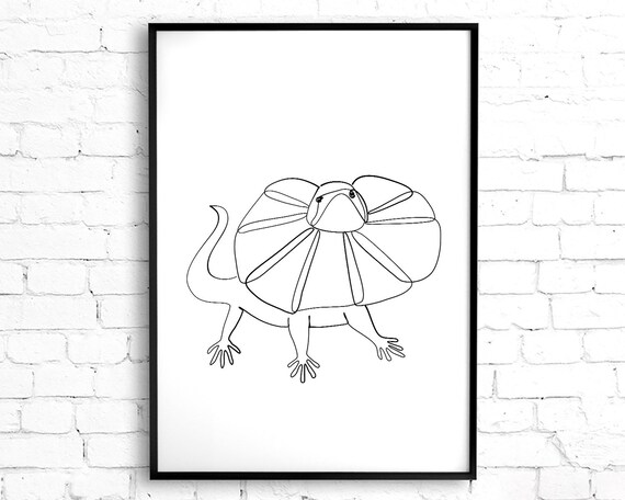 Australian Frilled Lizard Drawings