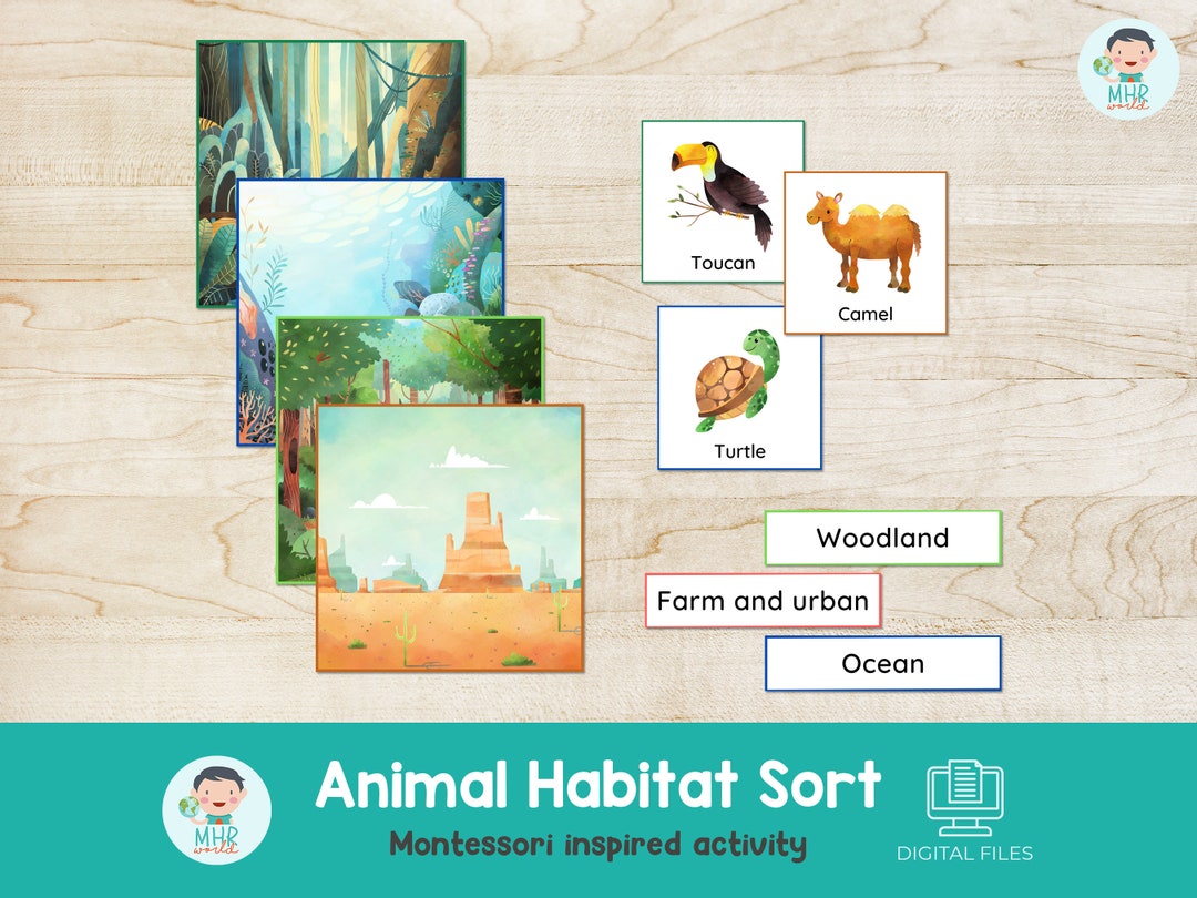 Animal Habitat Sorting Cards and Mat Activity · Montessori-inspired ...