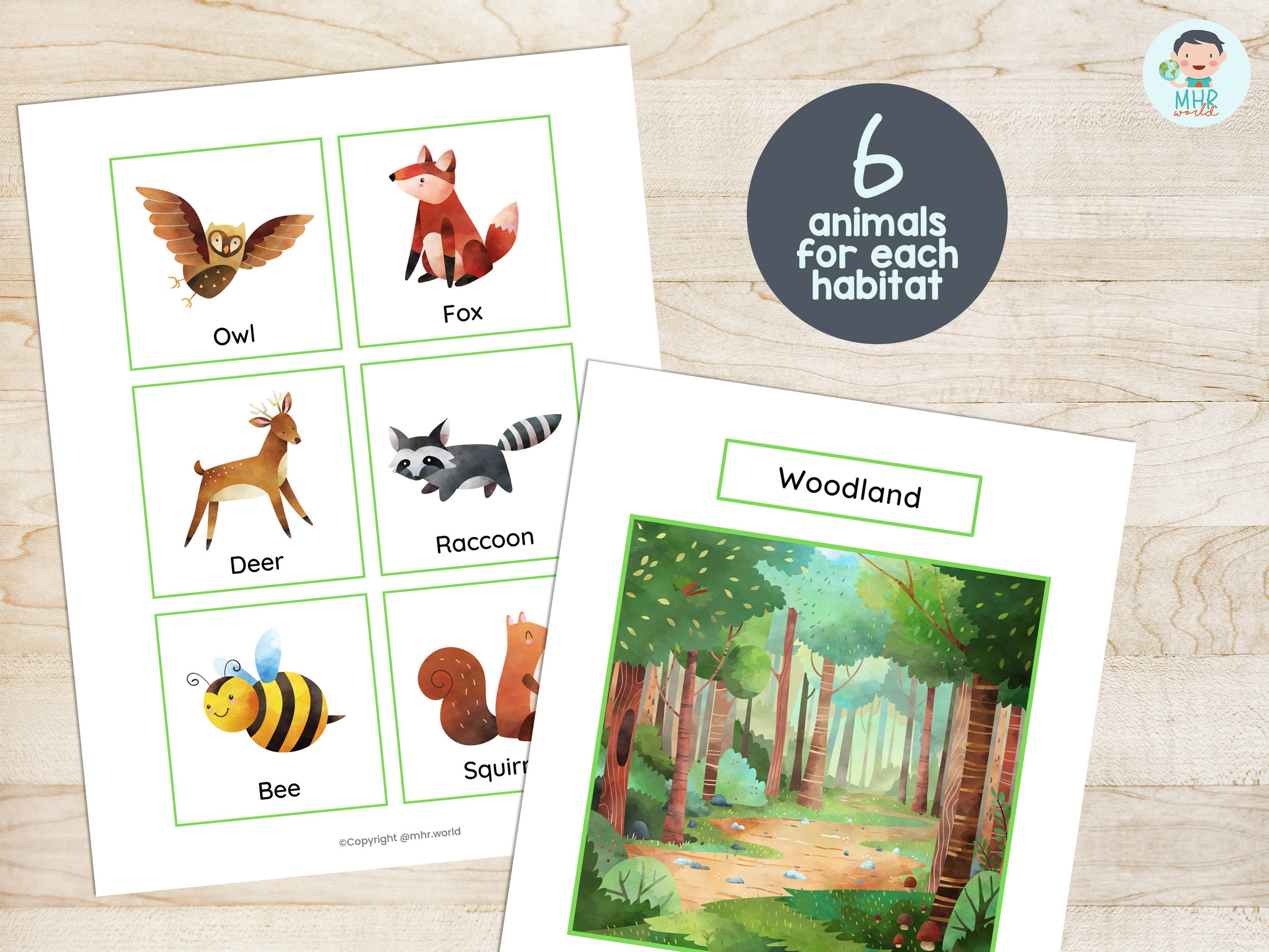 Animal Habitat Sorting Cards and Mat Activity · Montessori-inspired ...