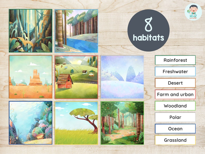 Animal Habitat Sorting Cards and Mat Activity · Montessori-inspired ...