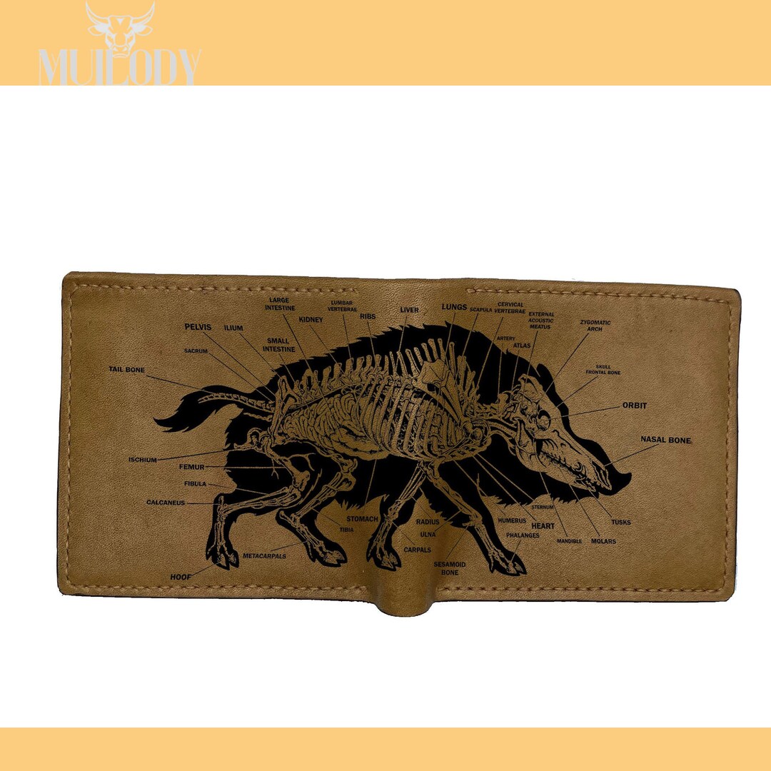 Anatomy of a Boar, Animal Anatomy Modern Art Drawing, Customized ...