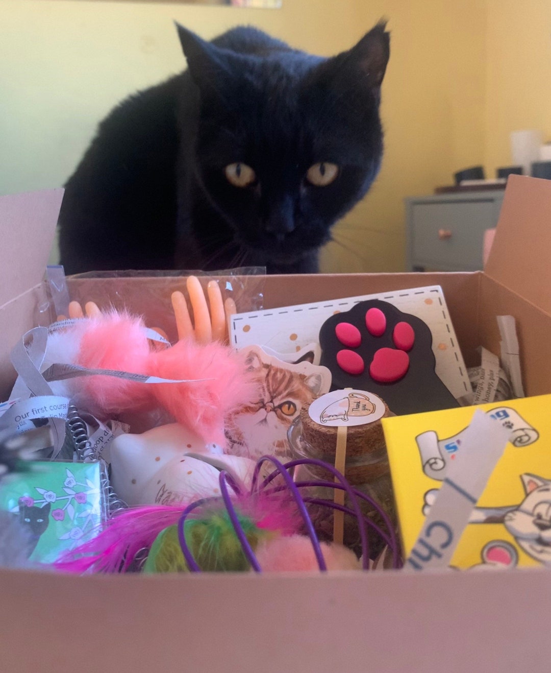 Cat Lover Hamper New Pet Kitten Care Package - Etsy UK