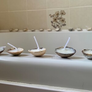 Sea Shell Tea-lights, Handmade Mini Shell Candles, White - Etsy