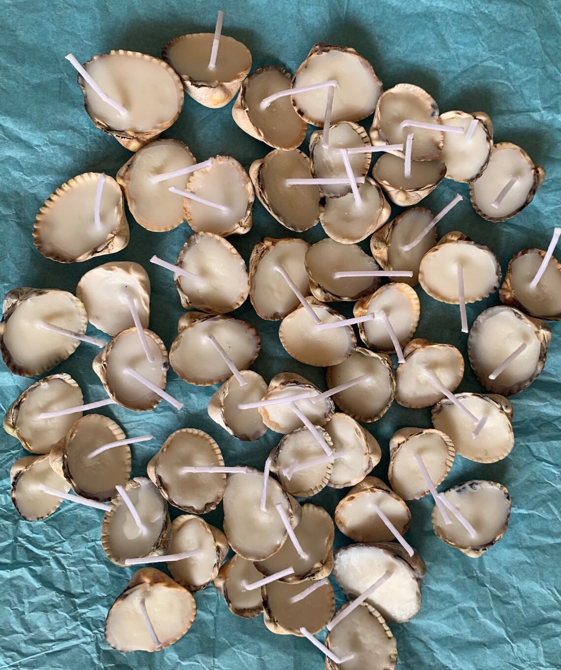 Sea Shell Tea-lights Handmade Mini Shell Candles White - Etsy