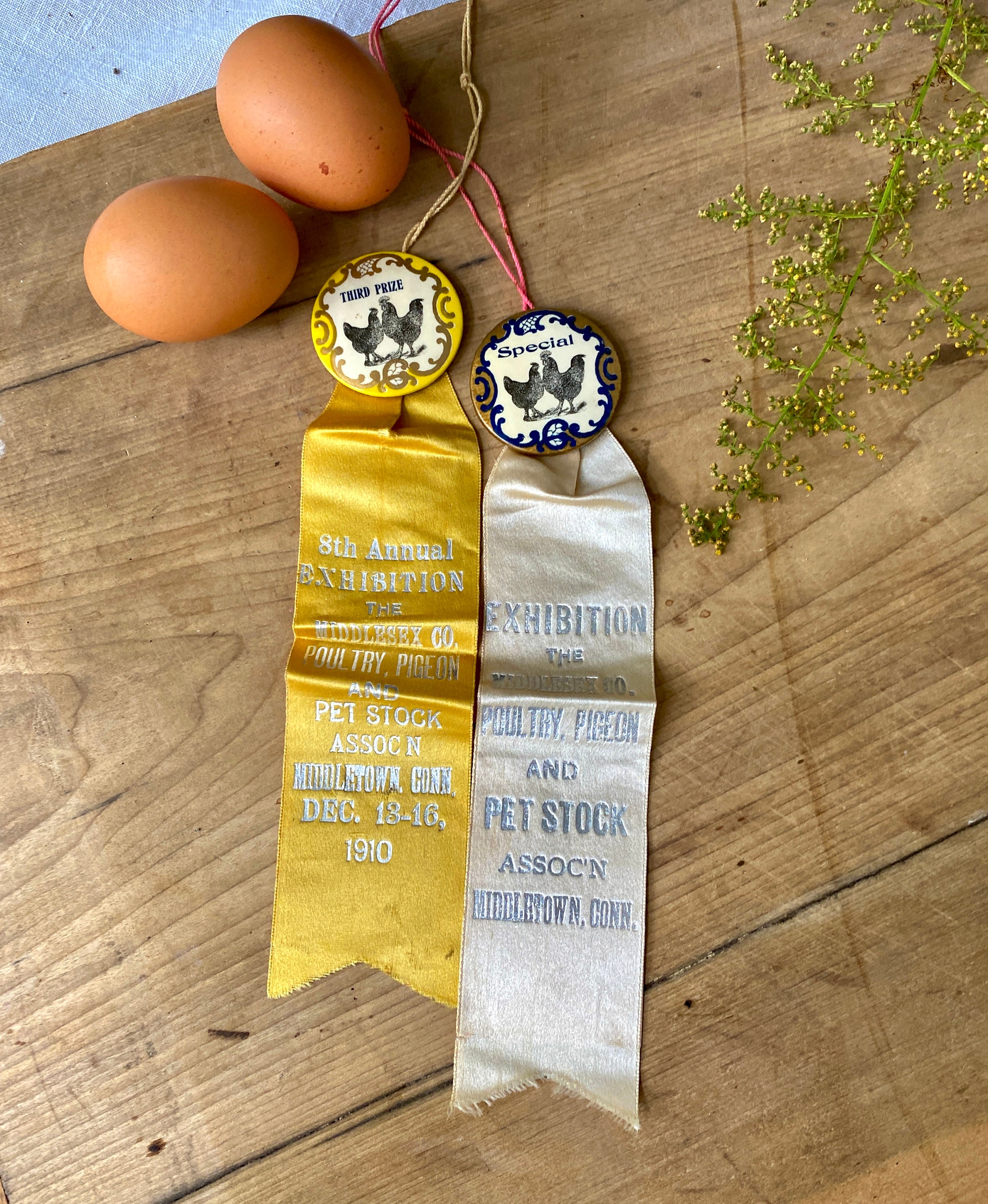 Antique 1910 Prize Winning Exhibition Pin Ribbon Poultry - Etsy