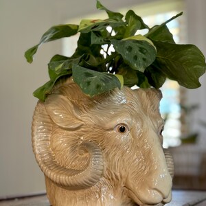 Vintage Figural Rams Head Cachepot Planter Pot Finely Detailed Handmade ...