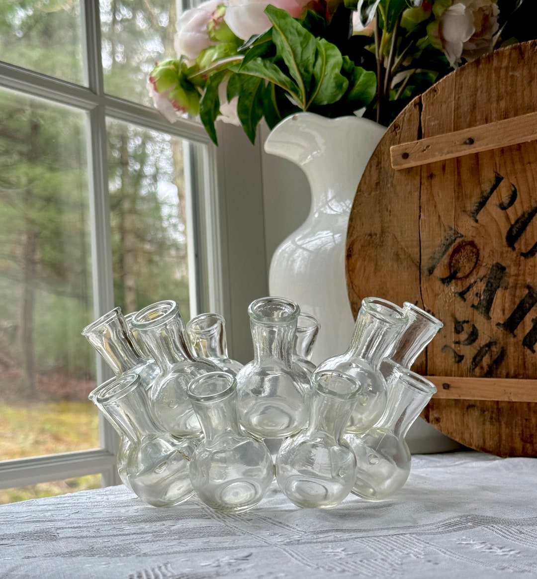 Vintage Glass Beaker Bud Vase Plant 18 Propagation Vases - Etsy