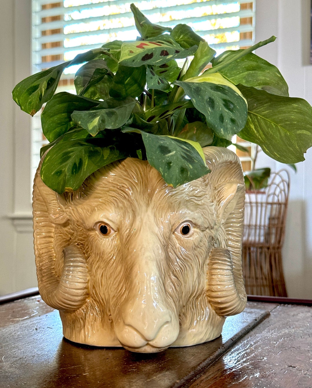 Vintage Figural Rams Head Cachepot Planter Pot Finely Detailed Handmade ...