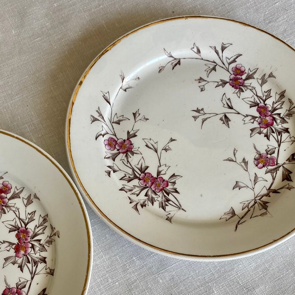 Henry Alcock Co. Semi Porcelain - Etsy