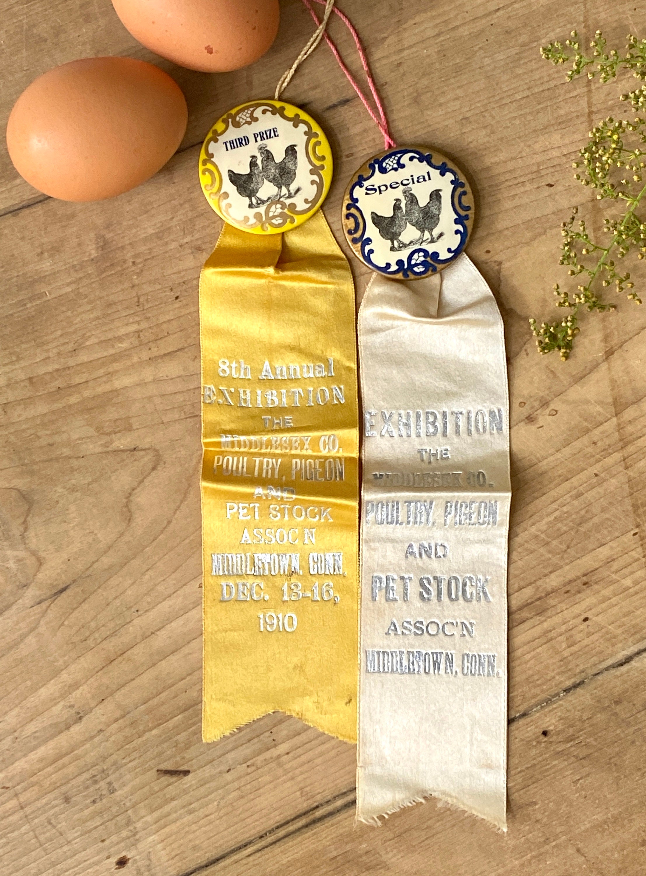 Antique 1910 Prize Winning Exhibition Pin Ribbon Poultry - Etsy