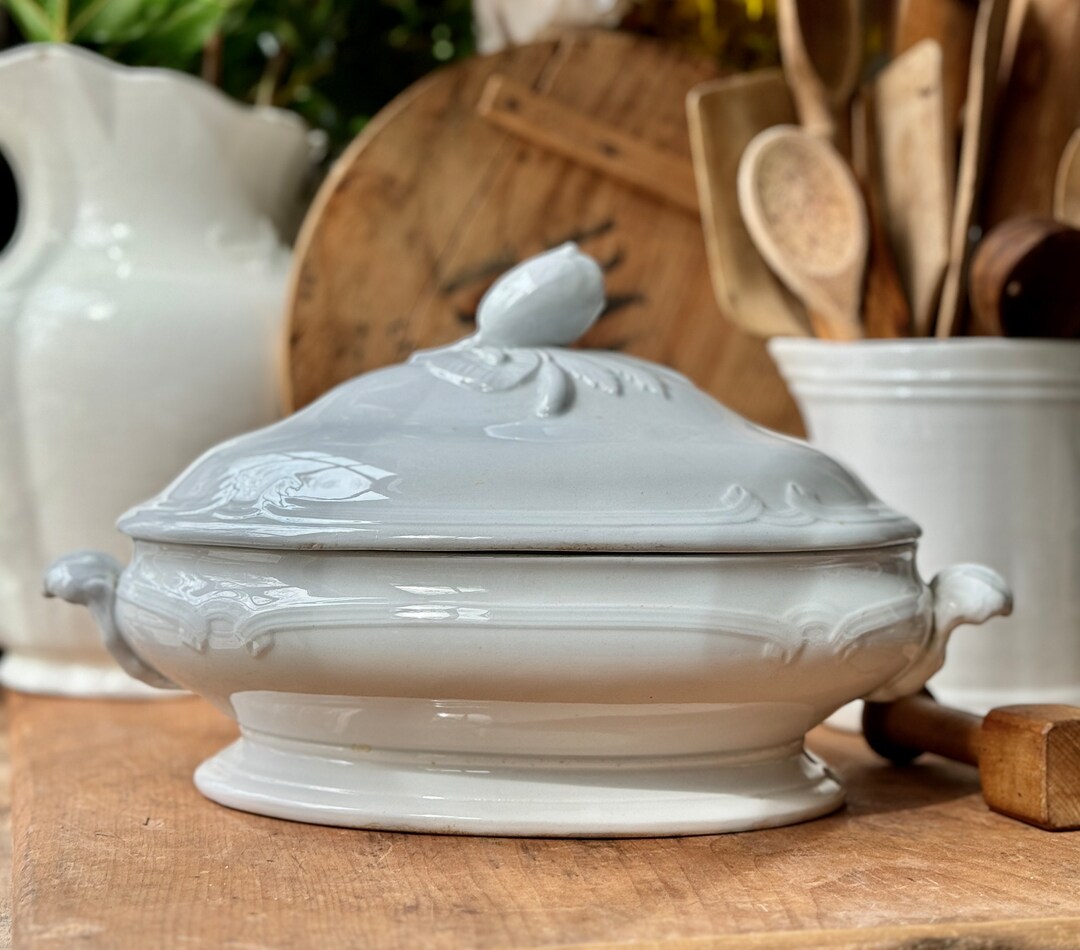 Antique Mid 19th Century Ironstone Trent Shape Tureen Samuel Alcock ...