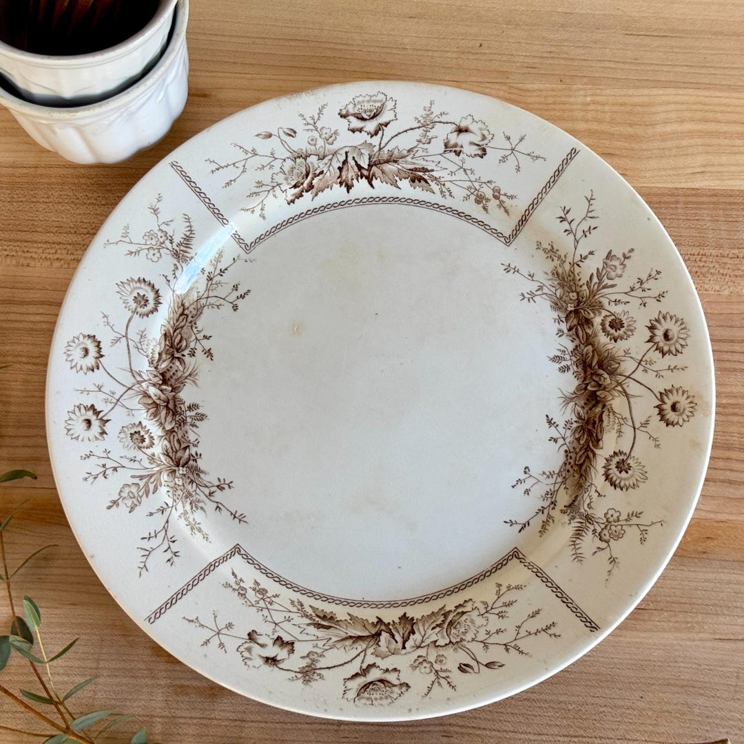 Antique Johnson Brothers sylvan Brown Transferware DINNER PLATE Poppy ...
