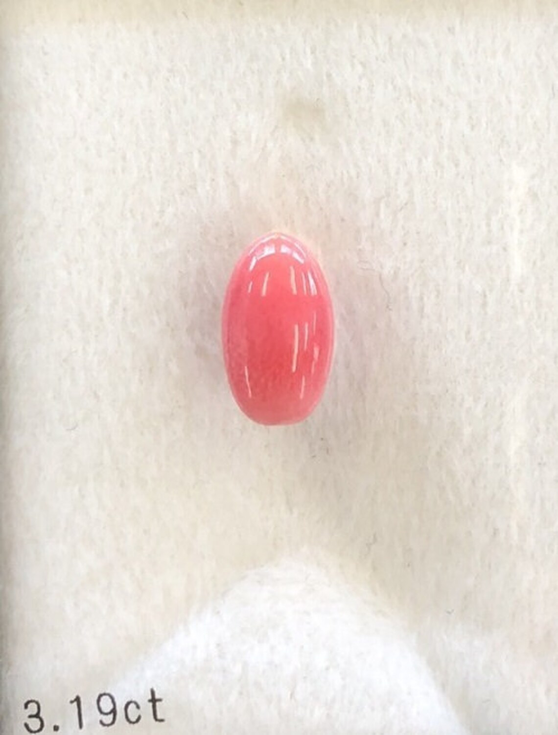 5A Queen Conch Pearl From Caribbean Sea Pearls Strombus | Etsy