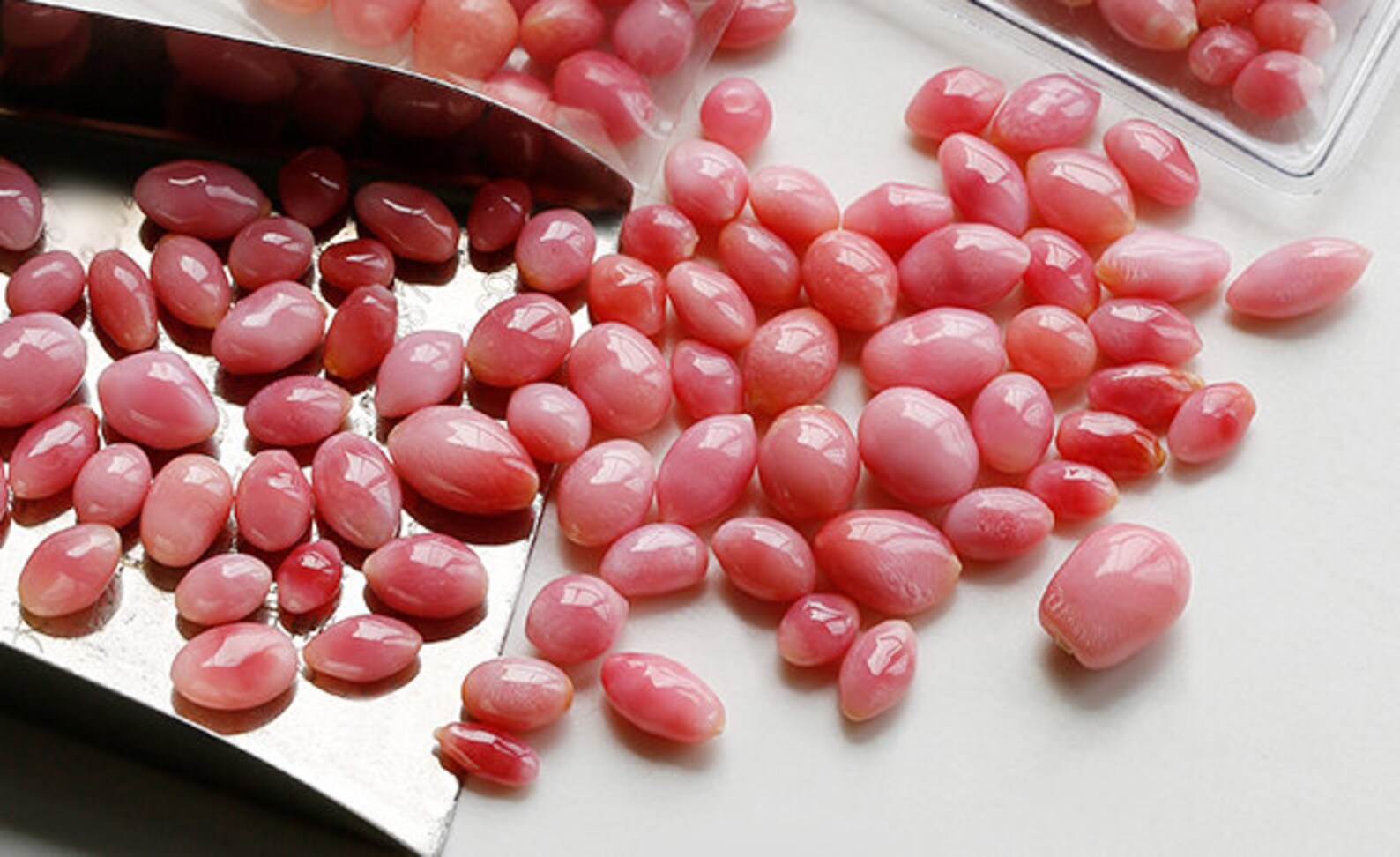 5A Queen Conch Pearl From Caribbean Sea Pearls Strombus | Etsy