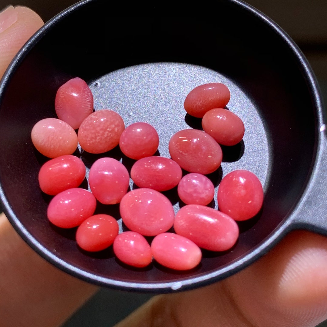 Queen Conch Pearl From Caribbean Sea, Pearls Strombus Gigas, Natural ...