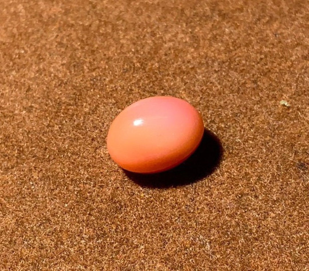 1.72carat sunset Pink Queen Conch Pearl From Caribbean Sea, Pearls ...