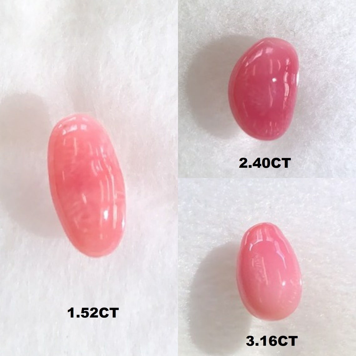 5A Queen Conch Pearl From Caribbean Sea Pearls Strombus | Etsy