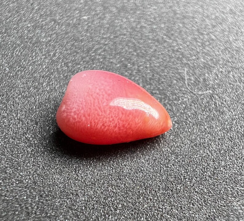 2.31carat love Shape Queen Conch Pearl From - Etsy