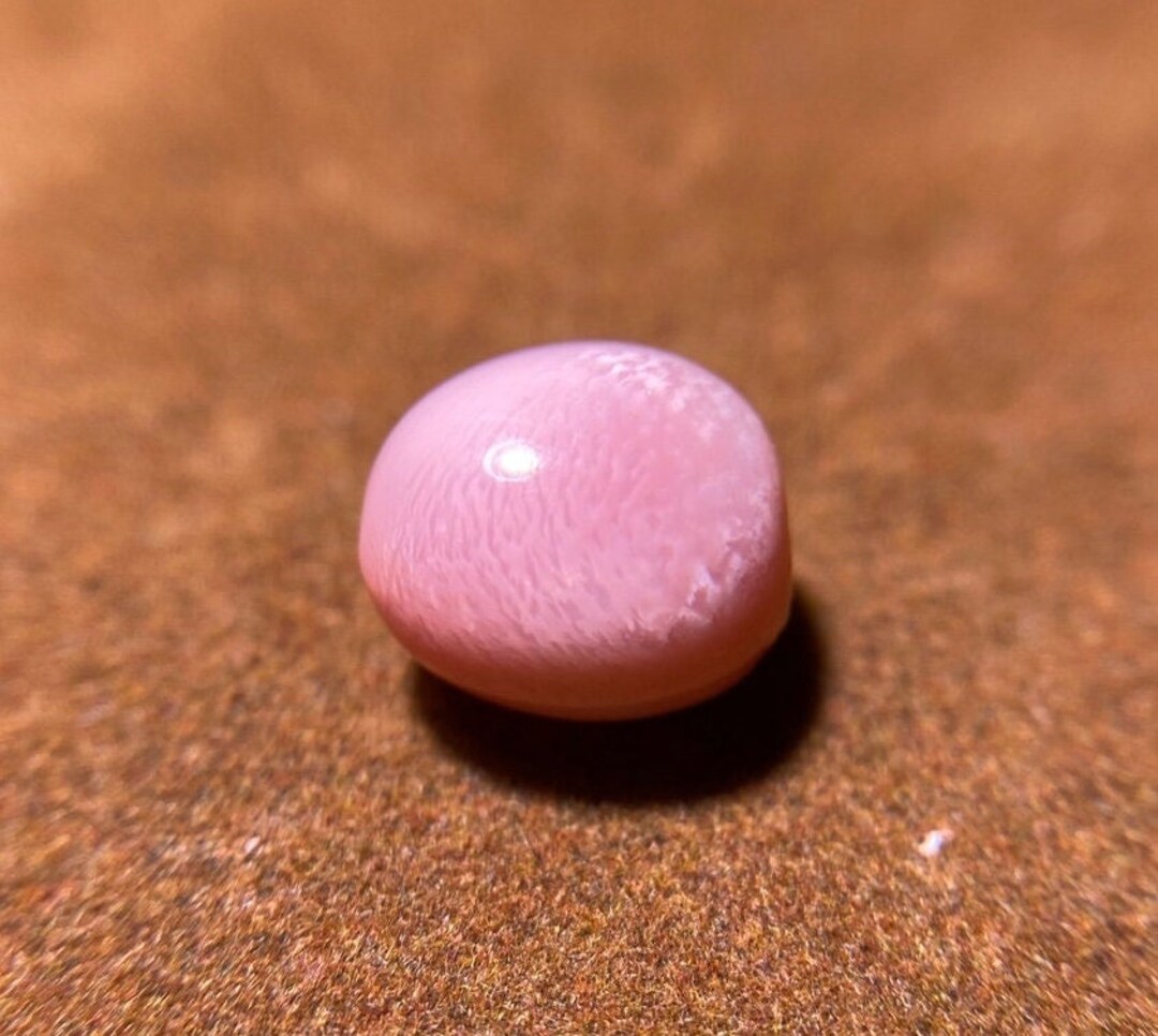 5.08carat SOLD Queen Conch Pearl From Caribbean Sea, Pearls Strombus ...