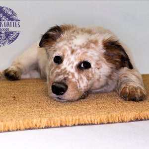 Dinna Fash Welcome Mat Scottish Welcome Mat Gaelic Door Mat Outlander ...