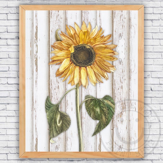 Sunflower Rustic Shabby Chic Farmhouse Art Print Wall Decor | Etsy
