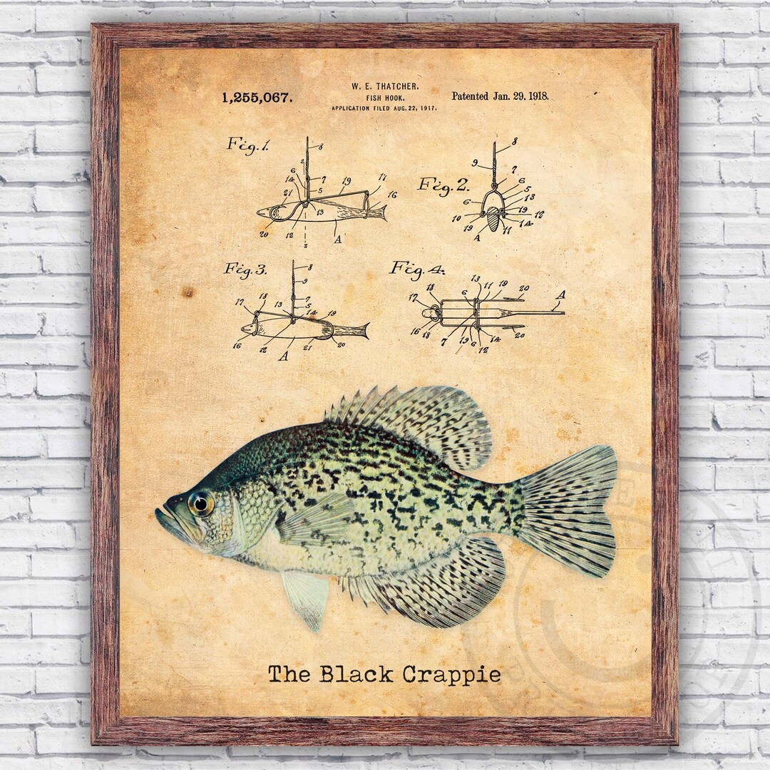 Black Crappie Fishing Lure Hook Patent Blueprint Wall Art Print Decor ...