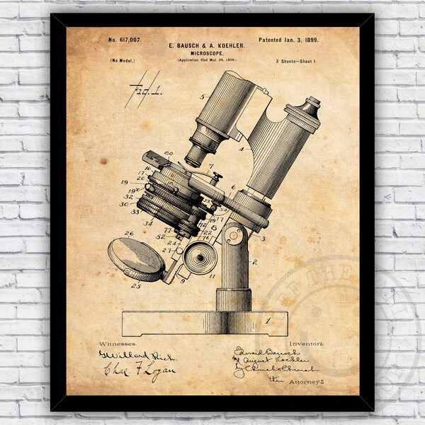 Microscope Art - Etsy