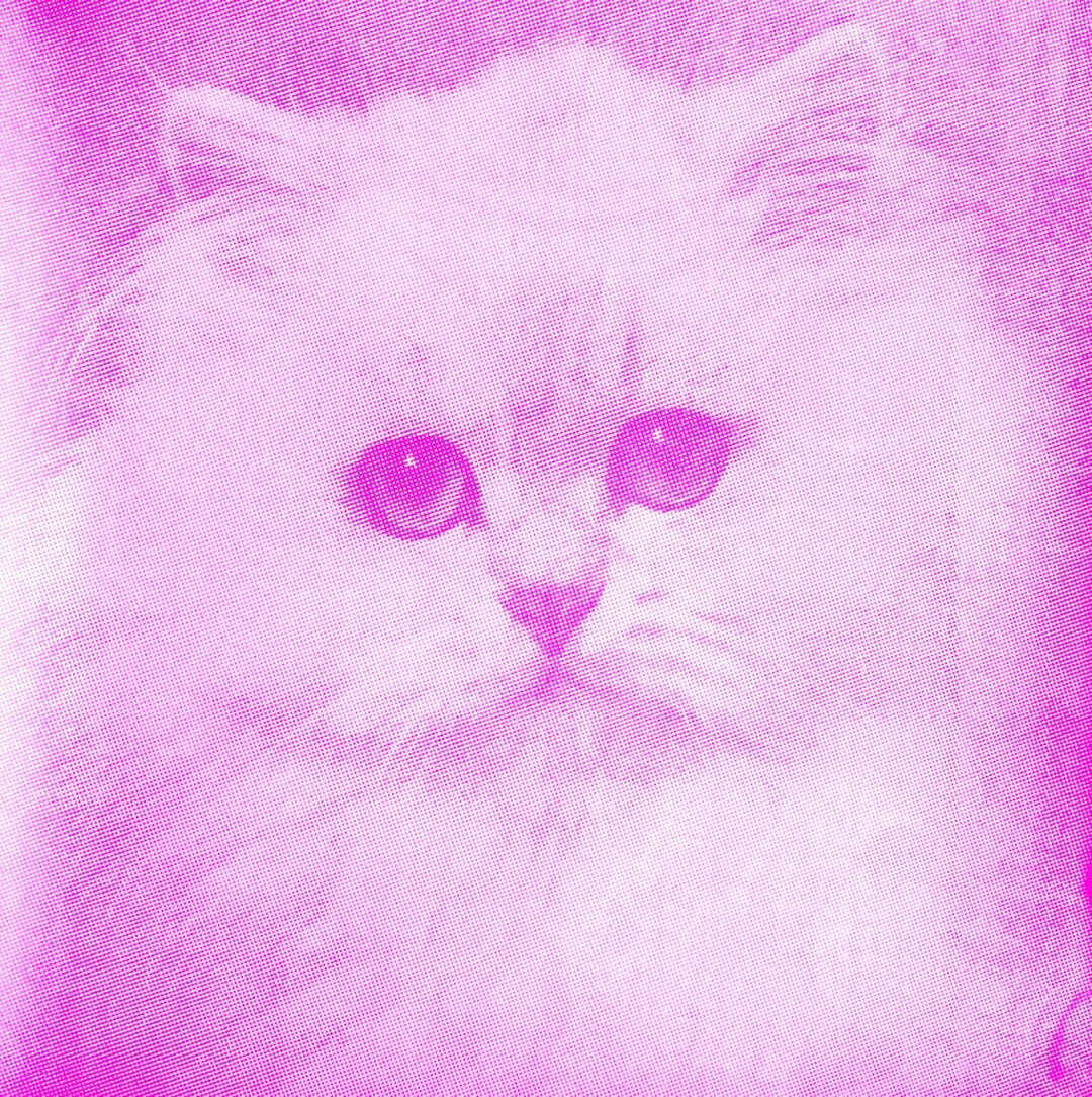 Blofelds Cat, Pink Bold Fun Hand Printed Iconic James Bond Trafford ...