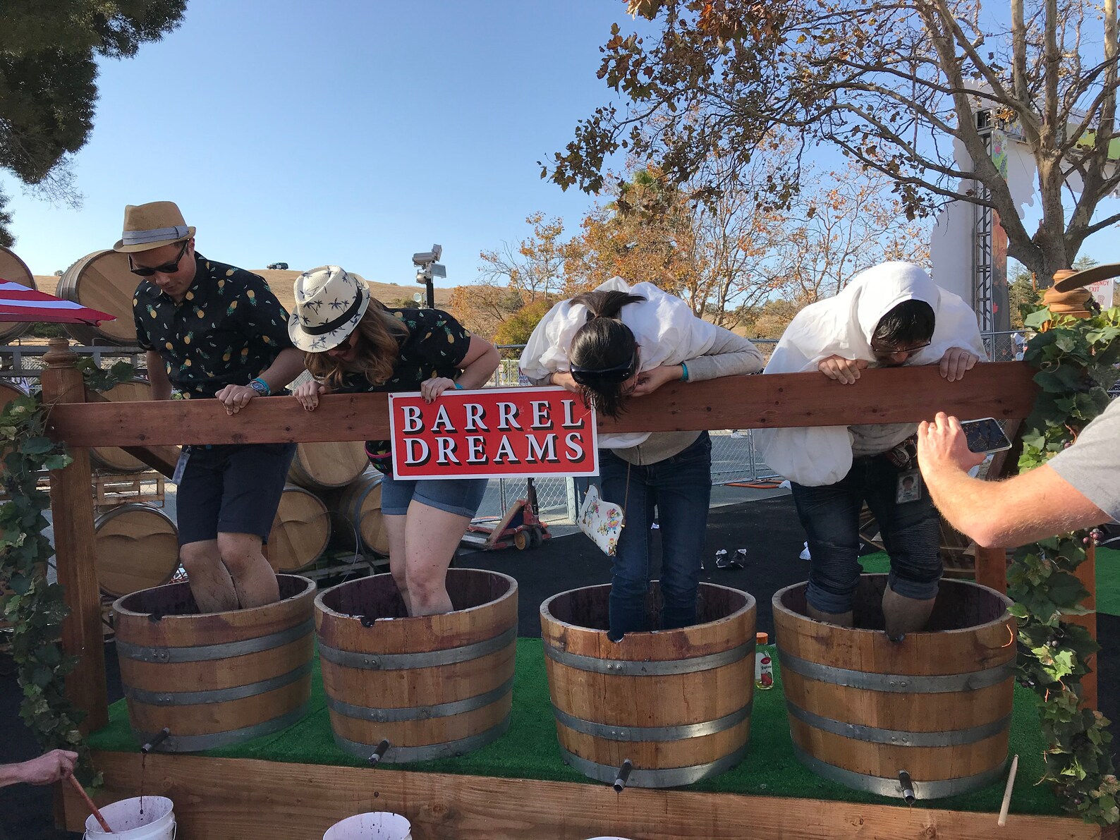 Grape Stomp Event | Etsy