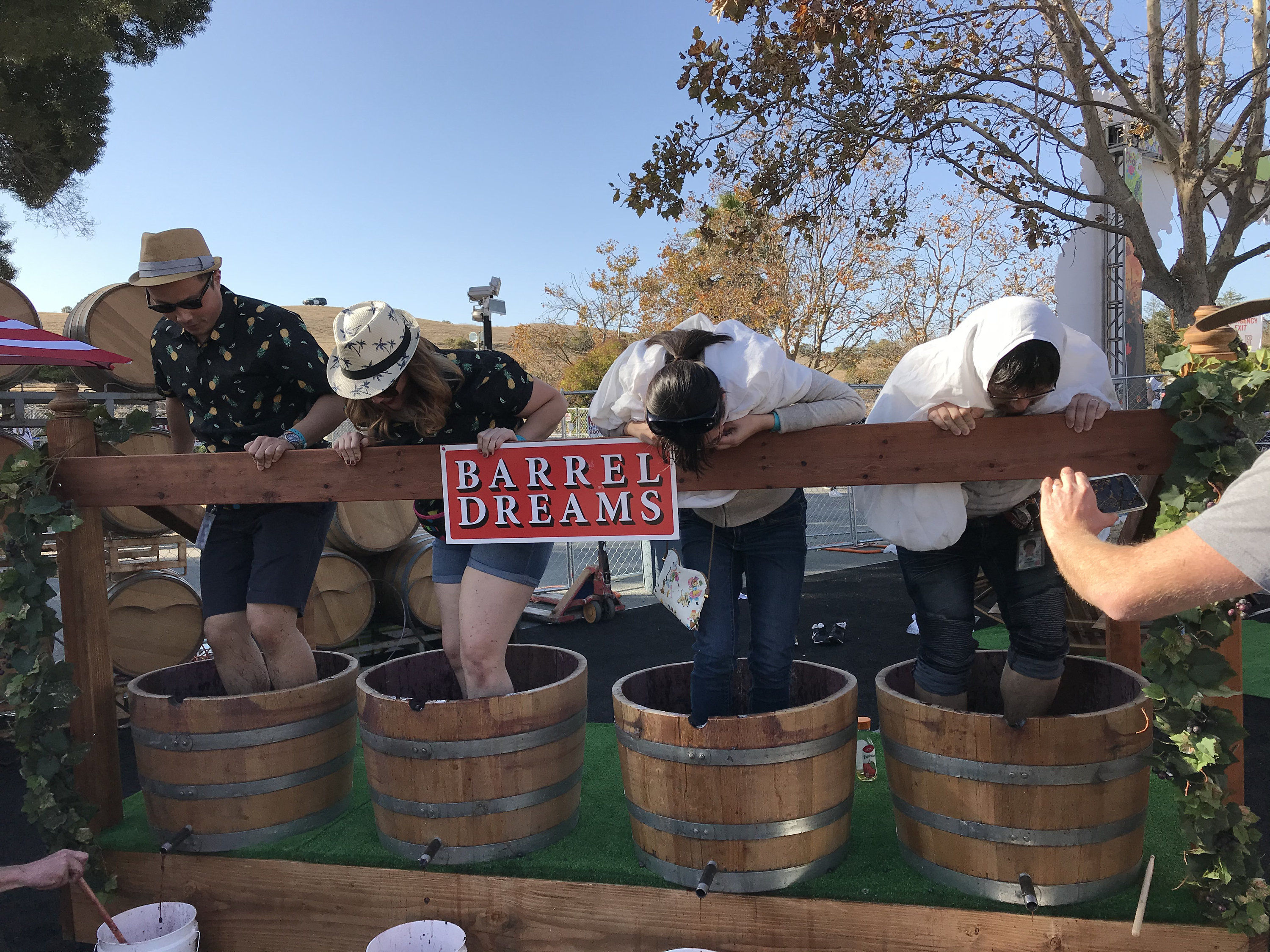 Grape Stomp Event | Etsy