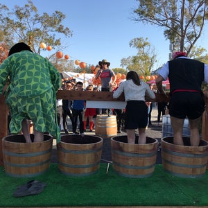 Grape Stomp Event - Etsy
