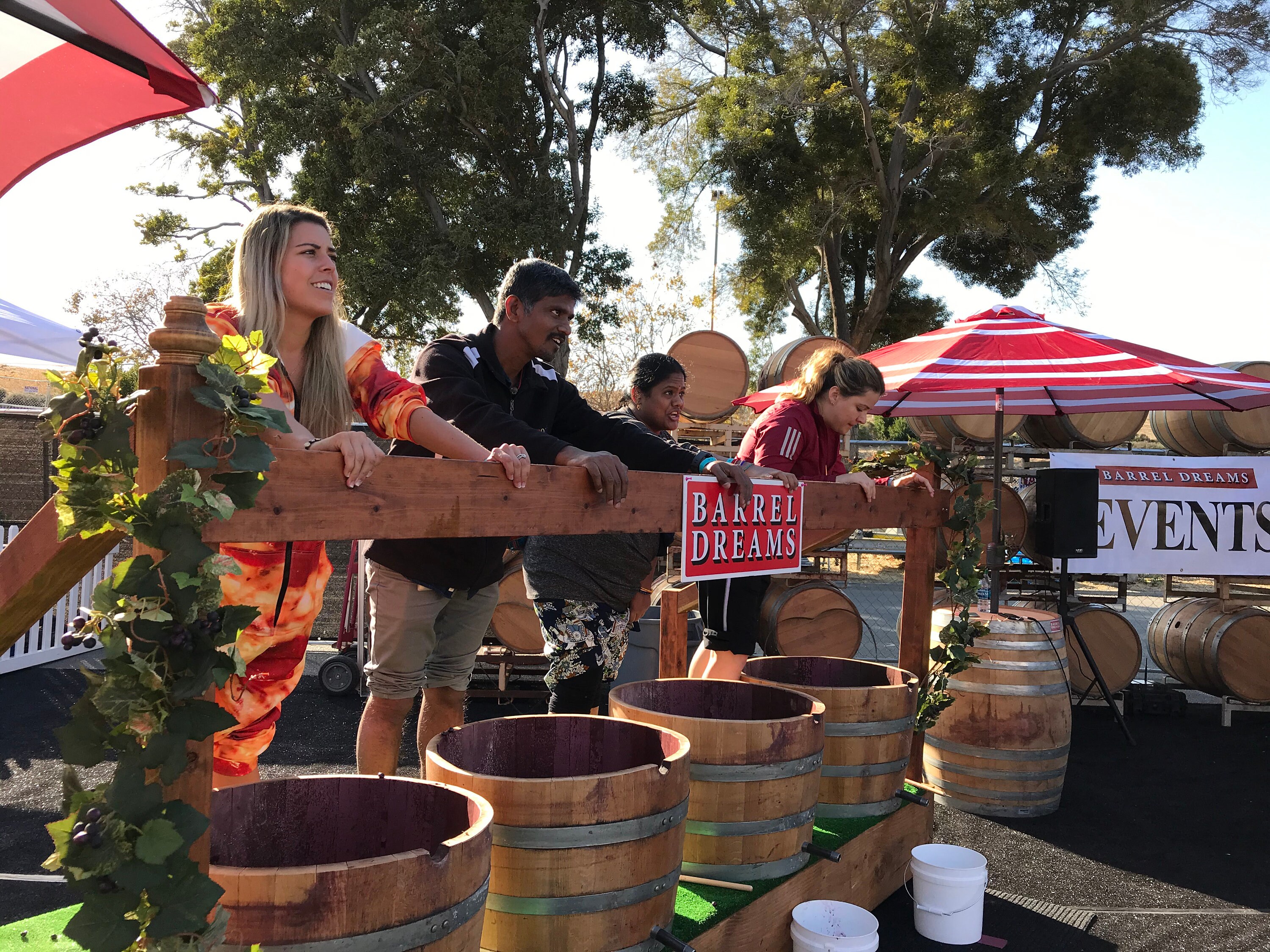 Grape Stomp Event - Etsy