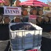 Grape Stomp Event - Etsy