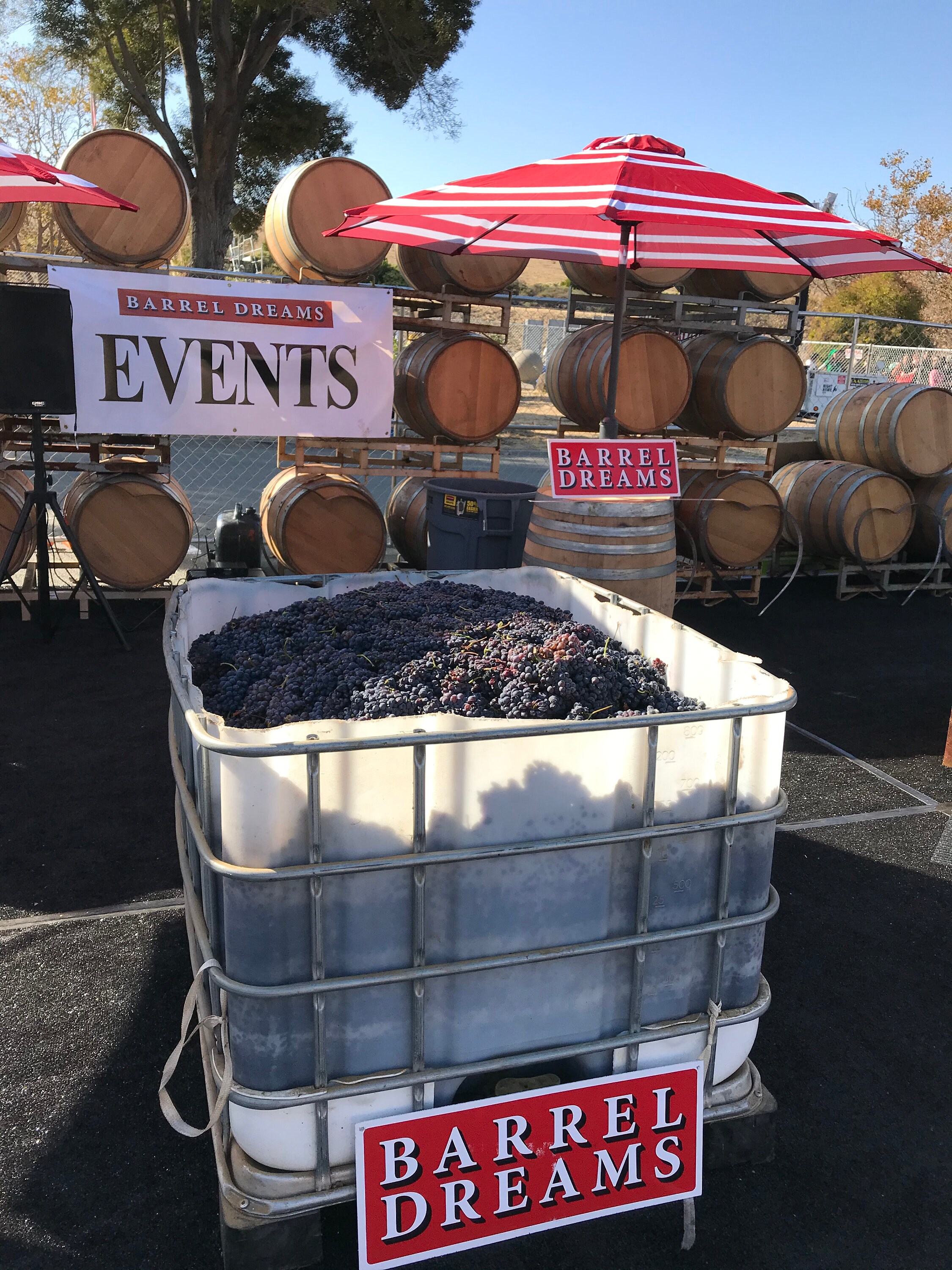 Grape Stomp Event | Etsy