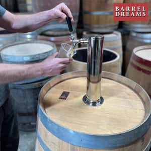 Wine Barrel Beer Tap & Kegerator Insert (CO2) - Etsy