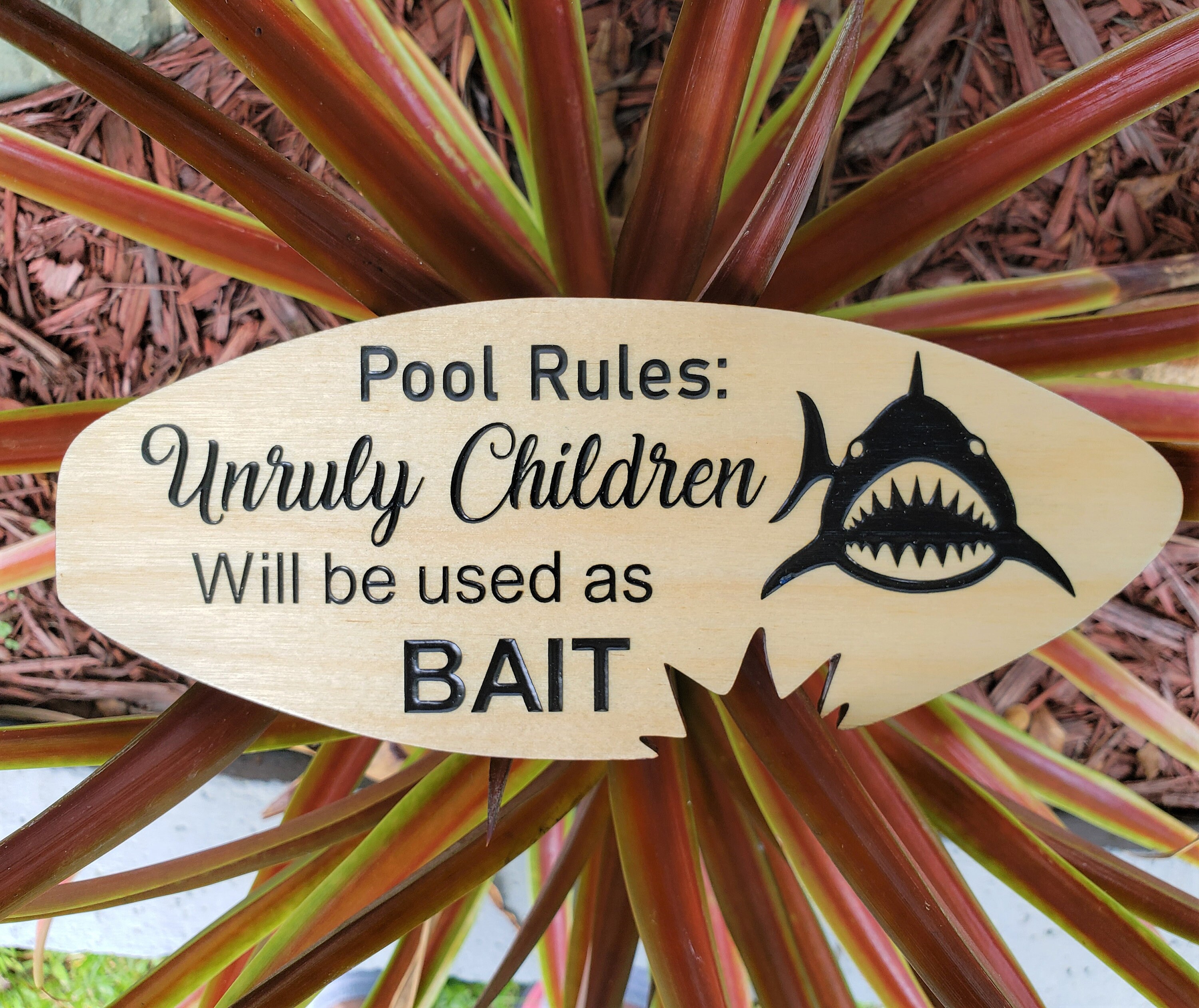 Laser Engraved Pool Rules Plaque / Funny Pool Sign / Shark Sign / Shark ...