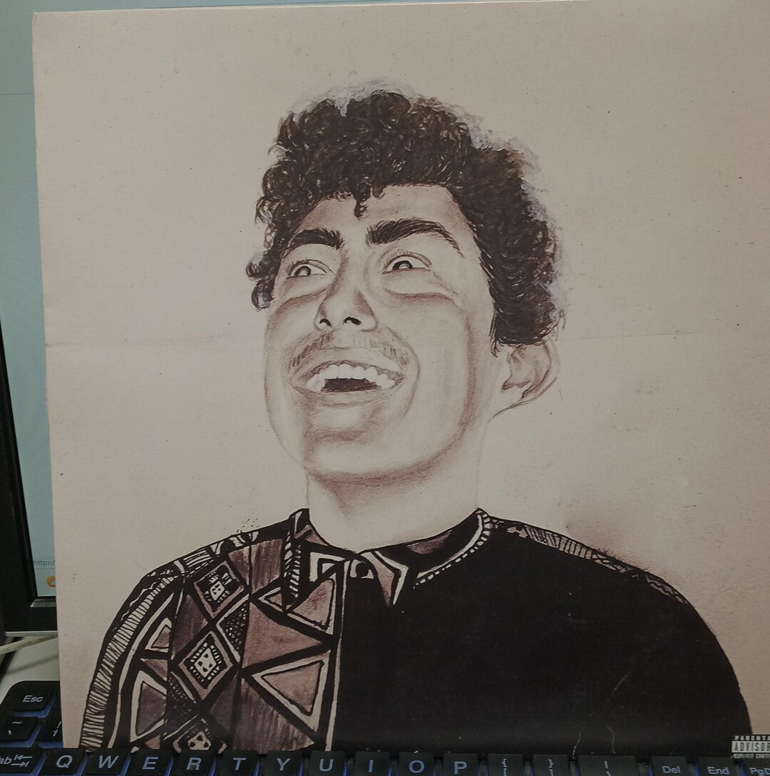 LP Pop/hip Hop Ho Bo Johnson "the Rise of Hobo Johnson" Vinyl Record M ...